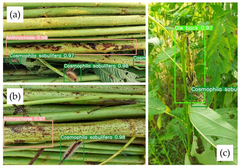 Welcome to Dawei Li’s Homepage! | DavidLeePP