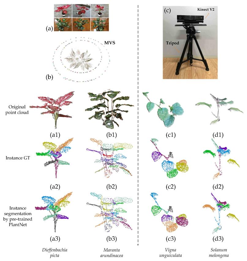Welcome to Dawei Li’s Homepage! | DavidLeePP
